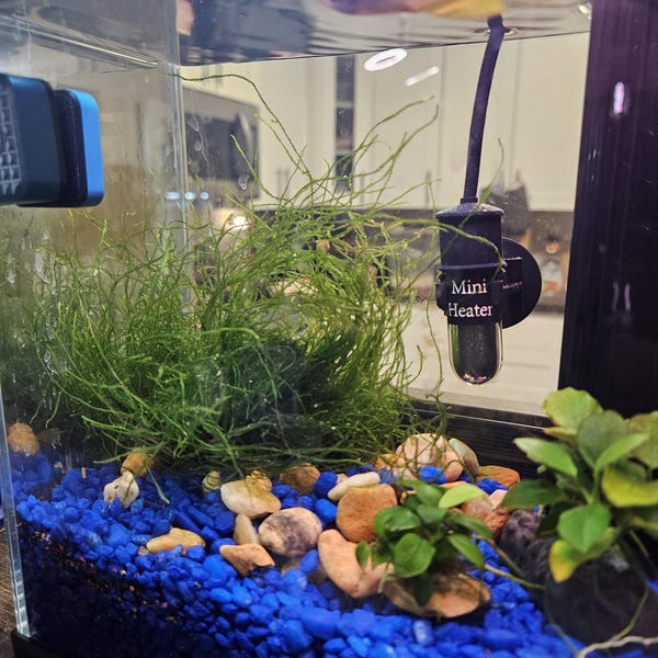 Fluval Aquasky/plant 3.0 Light Risers: Aquarium Tank Mount - Etsy