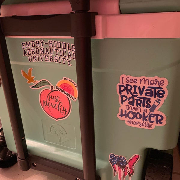 I See More Private Parts Than a Hooker Vinyl Sticker, Nurse Sticker ...