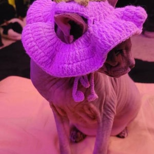 Flower Hat Crochet Hat for Cat or Small Dog Crochet Eggplant Hat ...