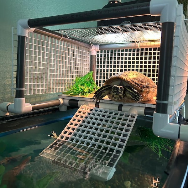 Tank Topper Turtle Dock! Sits on Top of Your Aquarium and Fits 18-19 ...