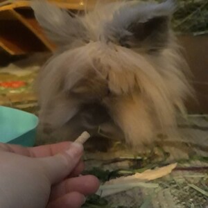 Lil Peep Sticker Beamer Boy Decal Beamer Boy Sticker Lil | Etsy