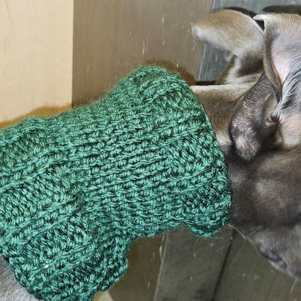 Chunky Knit Snoods | Greyhound | Lurcher | Whippet - Etsy
