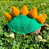 Tortoise Sweater Baby-sombrero. Sombrero Hat for Tortoise, Turtle ...