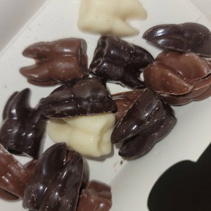 Chocolate Teeth, Tooth Chocolates, Dentistry, Dental Hygienist, Dentist ...