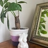 Curvy plus-size Goddess Torso Statue, Home Decor, Body Positive, Gifts ...