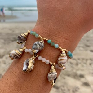 5/10/20pcs Natural Sea Shells Cowrie Shell Gold Plated Shell | Etsy