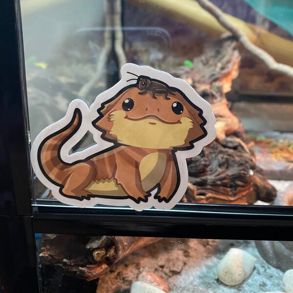 Super Kawaii Bearded Dragon With a Cricket! Adorable Kawaii Reptile ...