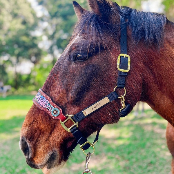 Reins, Hand Braided Leather Rein, Single Rein, Barrel Rein, Natural ...