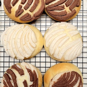 Classic Concha Mold Sweet Mexican Bread Pan Dulce Cookie Cutter Baking ...