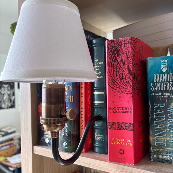 Bookshelf Lamp. Bookcase Light. Bookshelf Decor. Home Library Decor ...