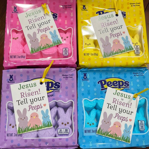 Custom Cook Book Cover 8.5 X 11 Includes Front, Back, Spine and 19 ...