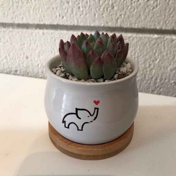 Elephant Hand-painted Mini Planter Pot 2 Inch Succulent Planter Jewelry ...