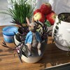 Peter Rabbit Pot Buddy Pot Hanger Beatrix Potter Gift Boxed Pot Buddies ...