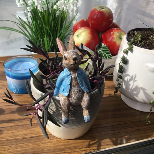 Peter Rabbit Pot Buddy Pot Hanger - Beatrix Potter - Gift Boxed Pot ...