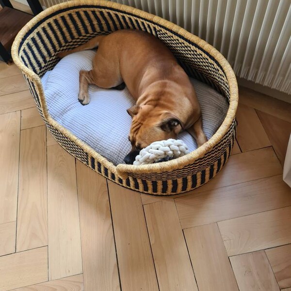 Comfortable Dog Basket Bed | Woven Dog Bed | Puppy Bed | Sustainable ...