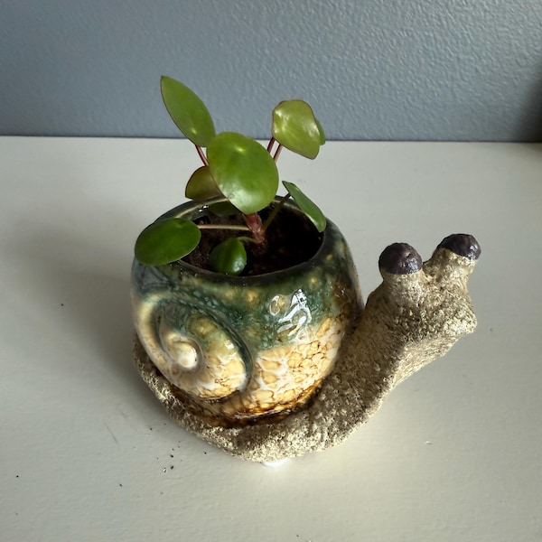 Soccer Ball Ceramic Planter, Sports Fan Flower Pot Bowl, Athletic ...