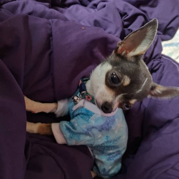 Purple & Black Plaid Fleece Pajamas Pj's Dog Puppy Teacup Pet Clothes ...