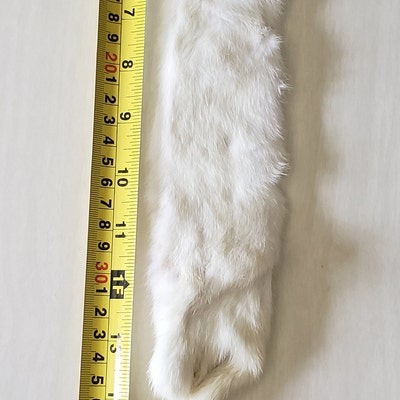 Tanned Fur Ermine Hides Pelts Skins Winter Long Tail Weasels 10 18 ALL ...