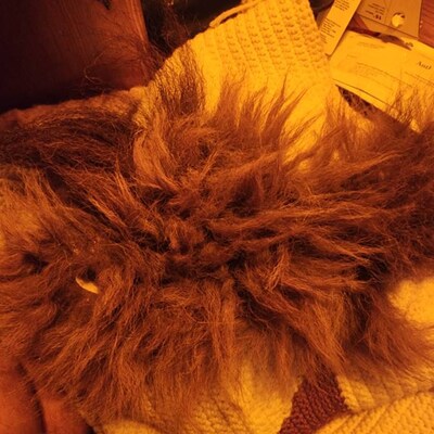 Large Deer Antler Buttons Lot of 25 Pieces Stock No. L-BUTTONS - Etsy