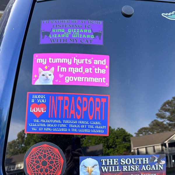 My Tummy Hurts and I’m Mad at the Government 7" Bumper Sticker or ...