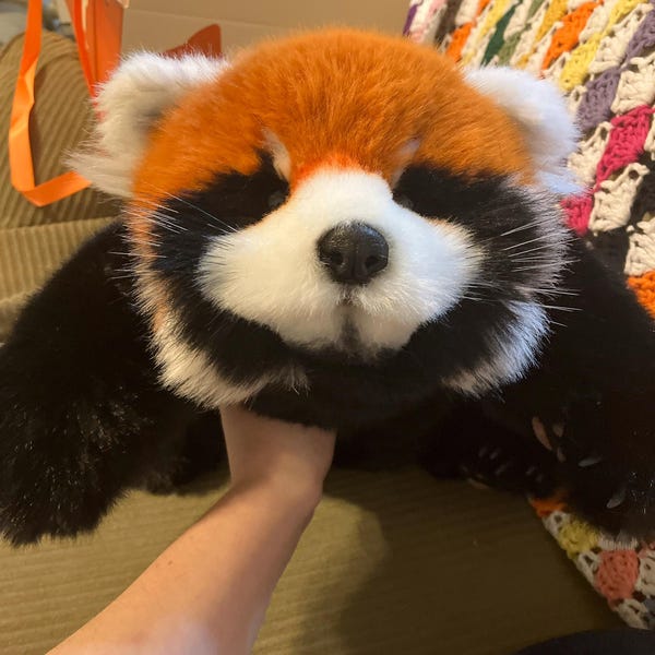 Mini Cat Backpacks-handmade Realistic Stuffed Cat Companion Gift for ...