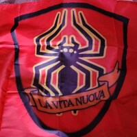 Step Brothers the Interview Flag Step Bros Flag Custom Any Size Funny ...