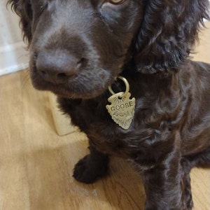 Goose Dog Tag, Dog Tags for Dogs, Pet Id Tag, Personalized, Custom ID ...