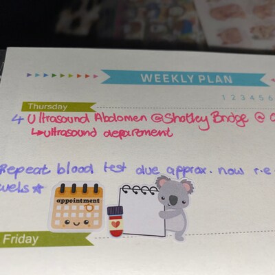 24 Cute Koko the Koala Blood Work Planner Stickers - Etsy