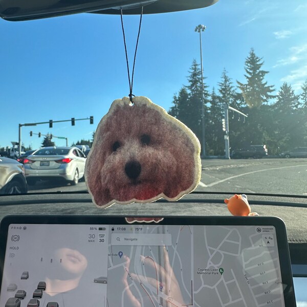 Funny Air Freshener Flaming Eye Freshener Cute Air Freshener Cool Air ...