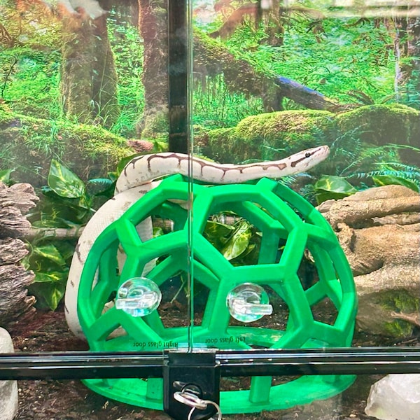 Python Playground: Snake & Boa Constrictor Enrichment Jungle Gym - Etsy