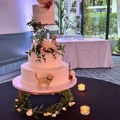 ROUND Cake Stand Fillable Acrylic Cake Stand Cake Separator Fill a Tier ...