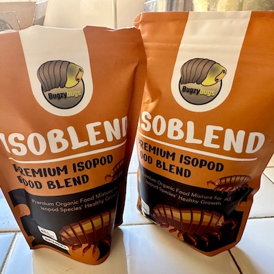 Vented Enclosure 16 Quart Reptile Isopod Terrarium Vivarium Container ...