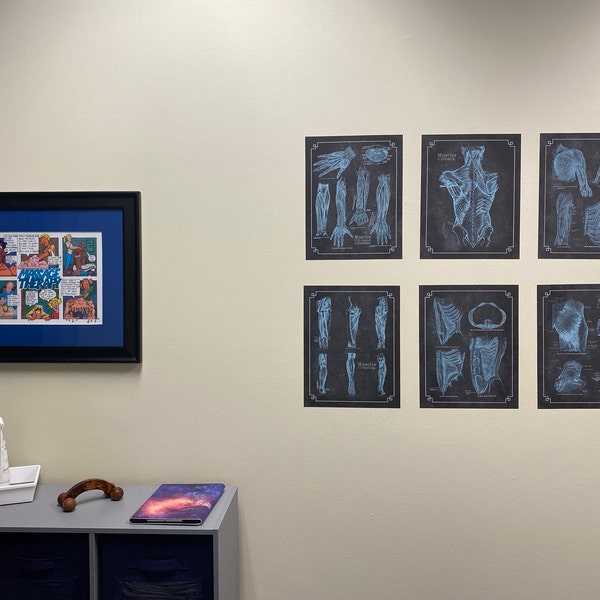 Grays Anatomy Back Muscles // Print at Home // 8x10 // Sand Blackboard ...