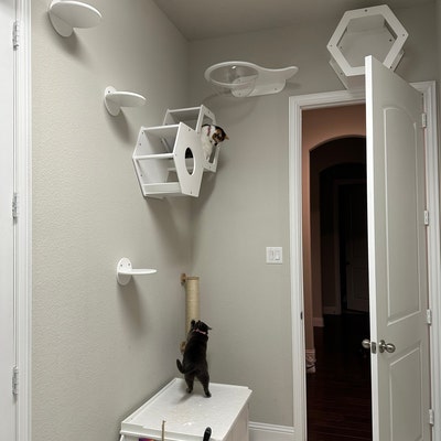 Wall Mounting Wood Feeder for Cats Small and Medium Dogs - Etsy