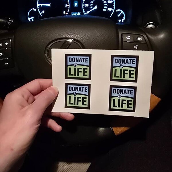 Kiss-cut Vinyl Decals | Ned | Sippin' on Straight Chlorine | Twenty One ...