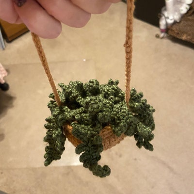 Car Fern Crochet PATTERN by Pamelambie Car Plant - Etsy