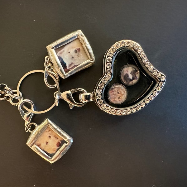 Personalized Clip on Dangle Photo Charm for Your Living Locket, Charm ...