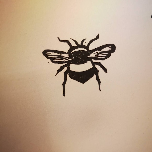 Insect Ink Stamps, Spider, Scarab Beetle, Ladybird, Dragonfly, Bumble ...