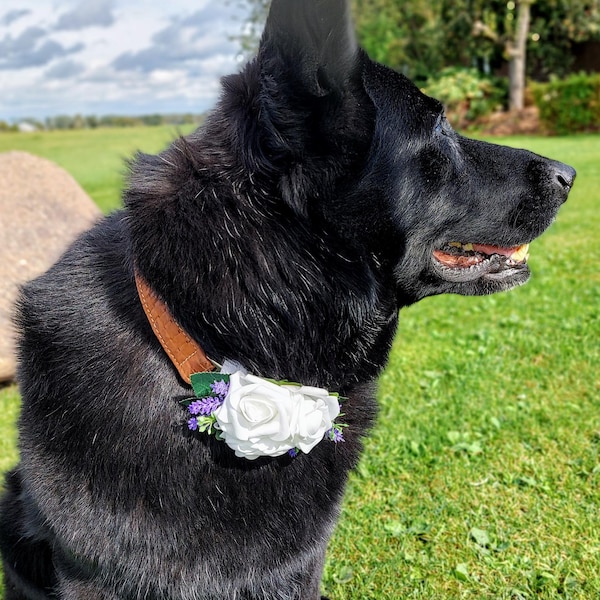 Custom Horse Tack With Name Tag, Personalized Lead Rope for Pets, With ...