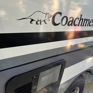 Trash Life Opossum Marsupial, Possum, Wildlife, Love, Cute, Roadkill ...