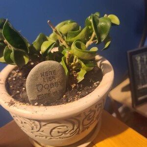 Shark Push Pins - Etsy