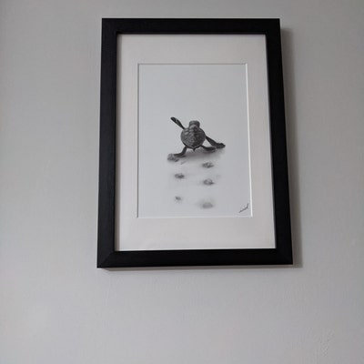 Baby Sea Turtle Graphite Drawing Print A3 A4 A5 Signed by - Etsy