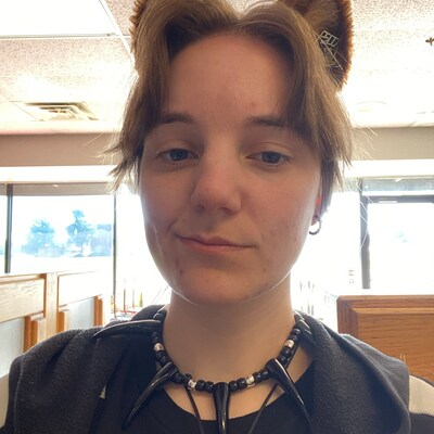 20 Pcs Black Sharp Plastic Animal Teeth Charms Faux Animal - Etsy