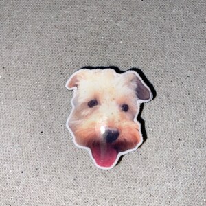 Custom Croc Charm Personalised Pet Croc Jibbitz Handmade - Etsy