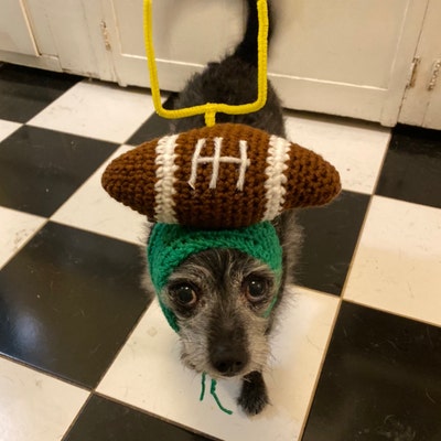 Dog Costume, Dog Collar, Blooming Flower Halloween Costume, Dog Clothes ...