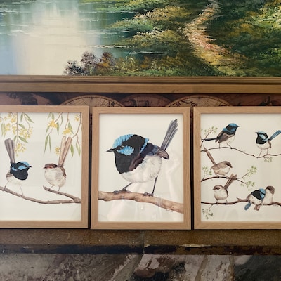 Set of Three Watercolour Magpie Prints Native Australian Bird Art ...