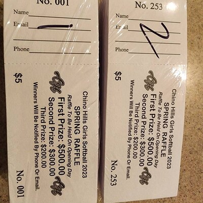 Custom Printed Raffle Tickets for Your Fundraiser Your Choice of Card ...