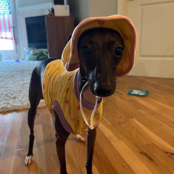 Italian Greyhound Sun Hats & Matching Tops - Etsy