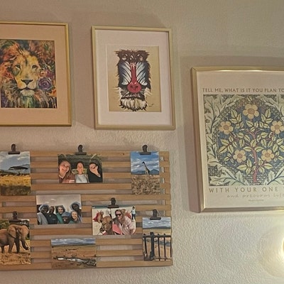 Mary Oliver Poem , Don't Hesitate , Motivational Quote , Mary Oliver ...