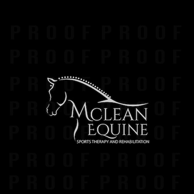Custom Equestrian Logo Design Equine Logo Design Bespoke Equine Logo ...